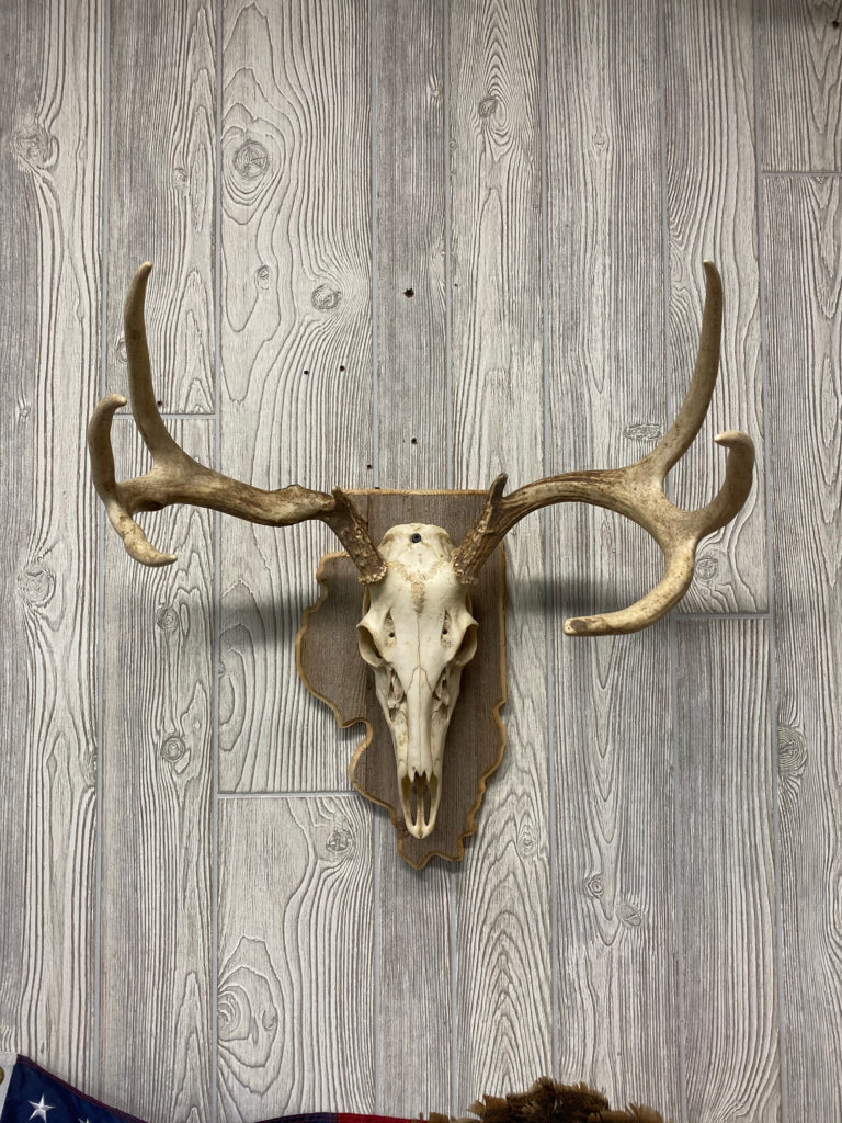 Illinois Deer European Panel - Custom Outdoor Advantage