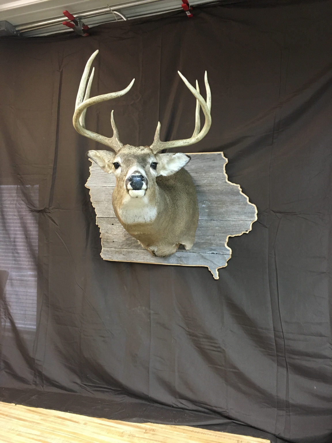 Iowa Deer Shoulder Mount Panel - Custom Outdoor Advantage