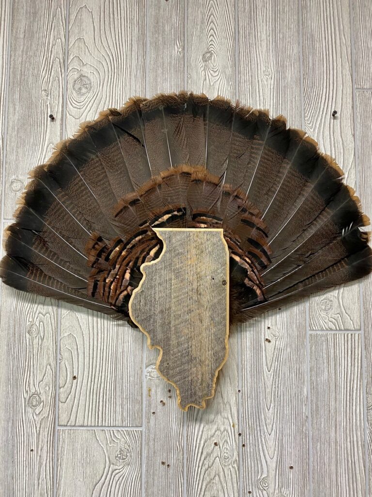 Illinois Turkey Fan Display Plaque - Custom Outdoor Advantage