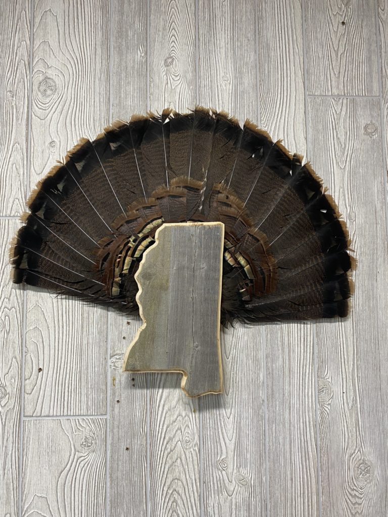 Mississippi Turkey Fan Display Plaque - Custom Outdoor Advantage