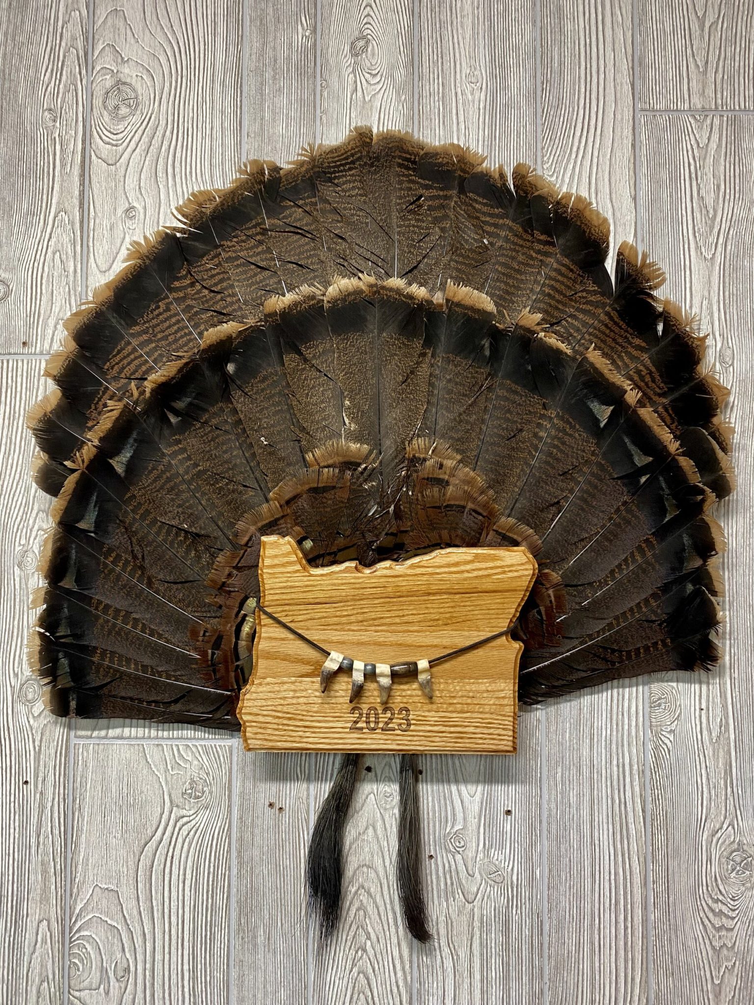 Oregon Turkey Fan Display Plaque - Custom Outdoor Advantage