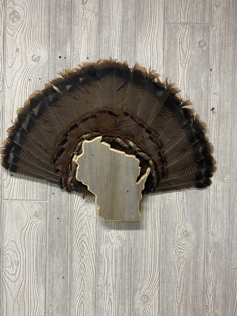 Wisconsin Turkey Tail & Beard Display Mount Plaque - Custom Outdoor ...