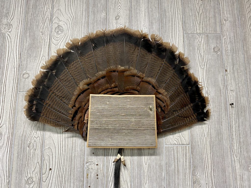Wyoming Turkey Tail & Beard Display Mount Plaque - Custom Outdoor Advantage