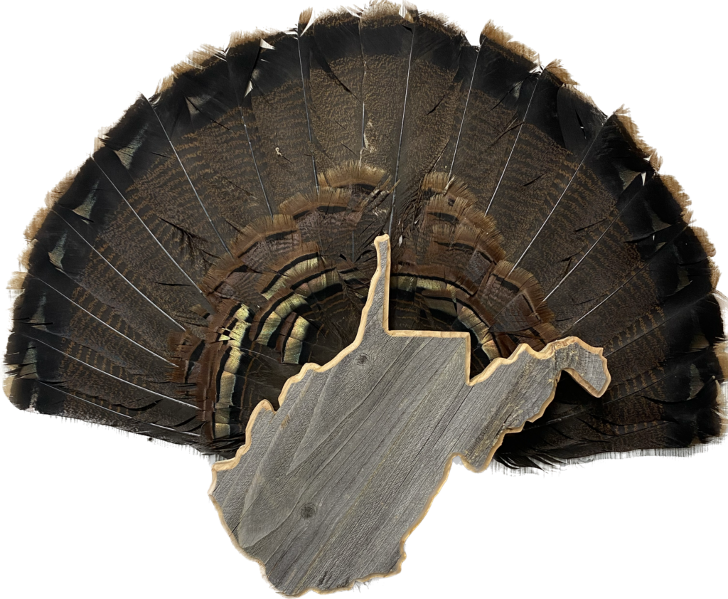 West Virginia State Turkey Tail Fan Mount Panel - Custom Outdoor Advantage