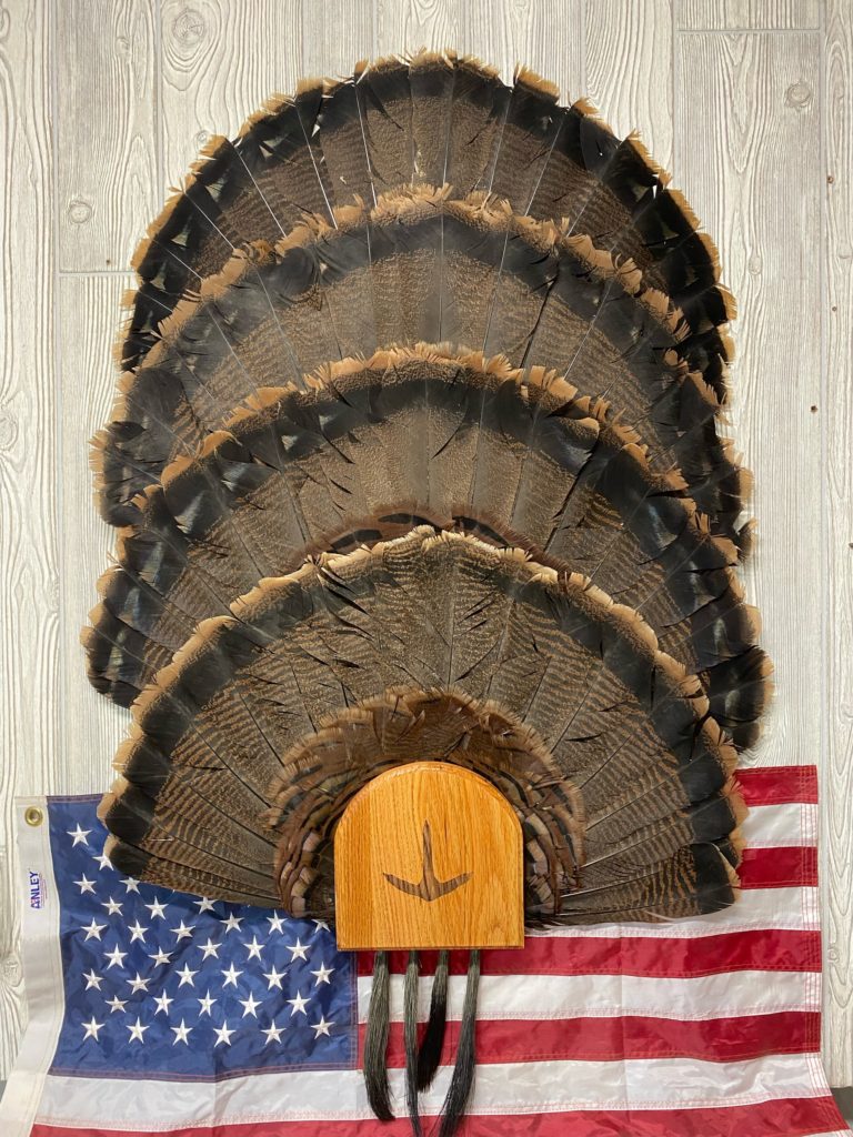 8×8 Turkey Fan Display Plaque w/ Turkey Track Engraving - Custom ...