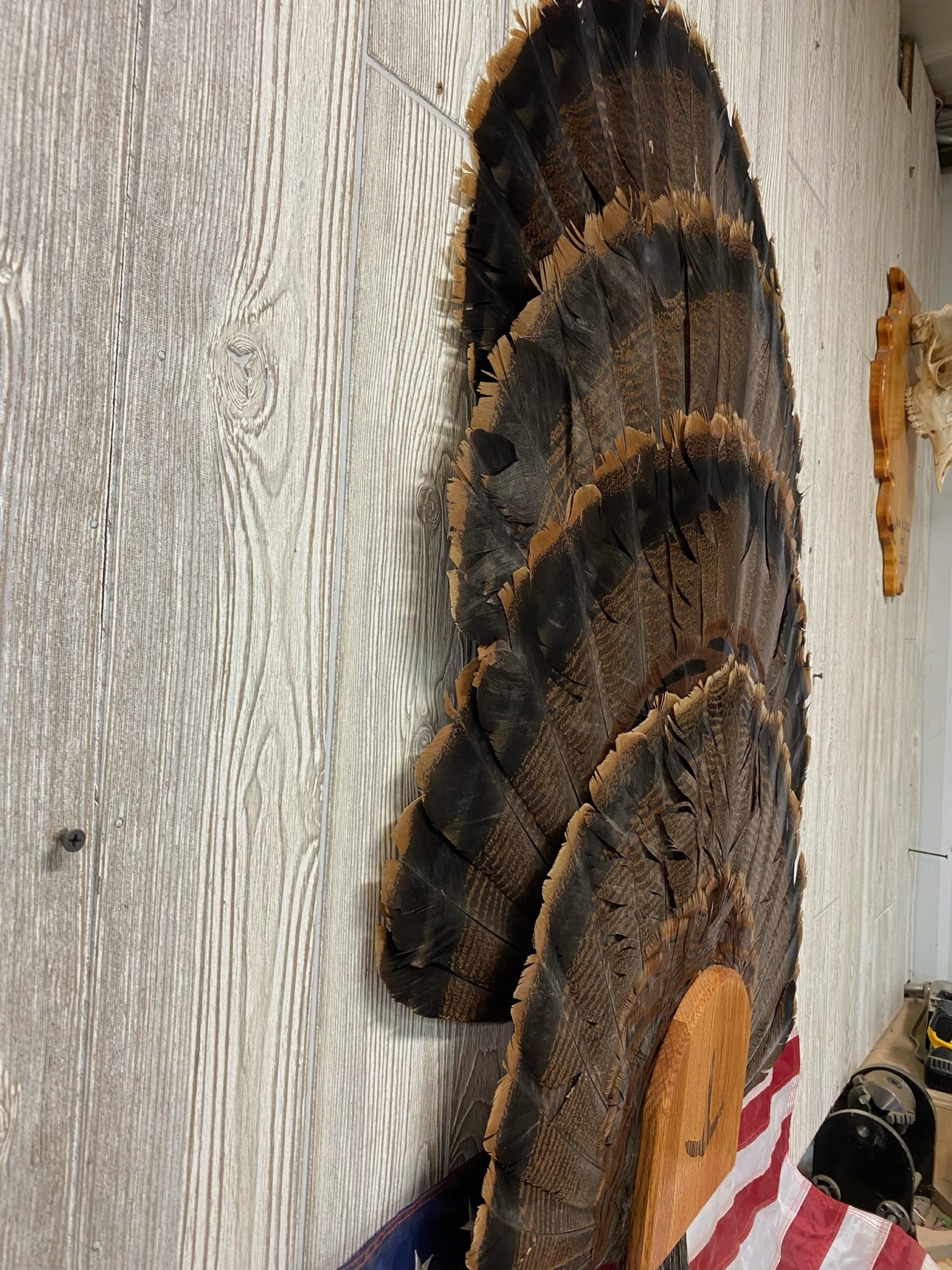 8×8 Turkey Fan Display Plaque Oak w/ Turkey Track Engraving - Custom ...