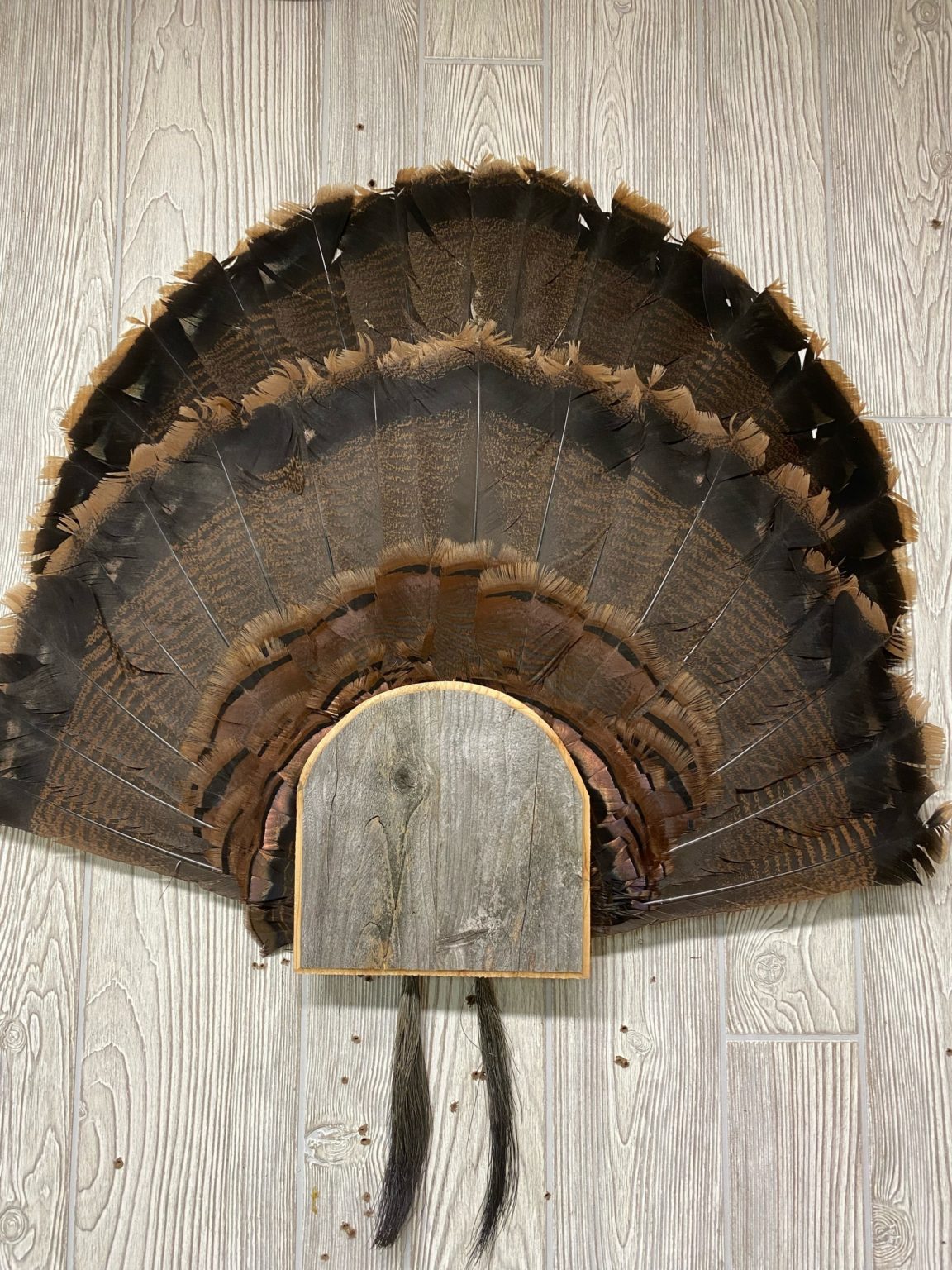 8×8 Barnwood Turkey Fan Display Plaque - Custom Outdoor Advantage