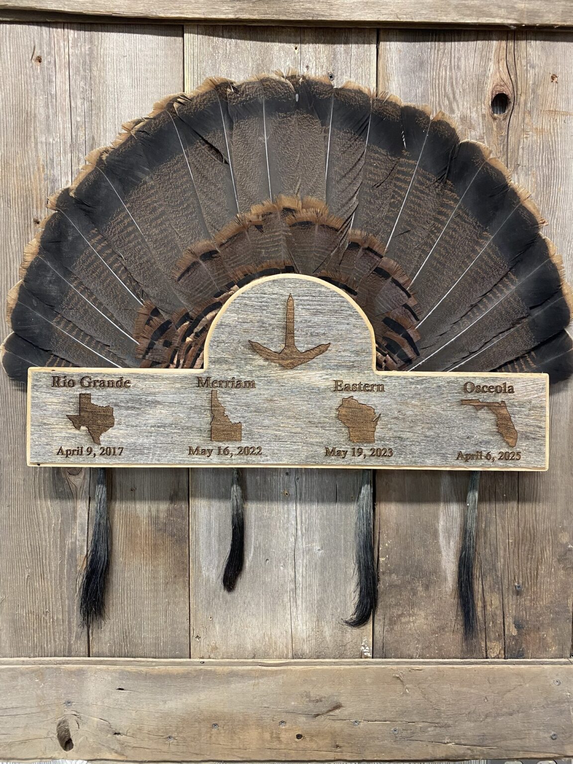 Grand Slam Turkey Fan Panel - Custom Outdoor Advantage